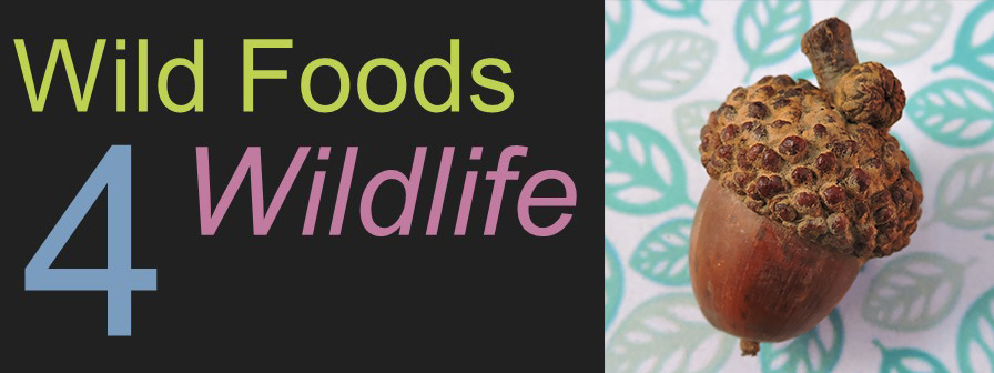 Wildfoods4wildlife logo2 - Wildfoods 4 Wildlife